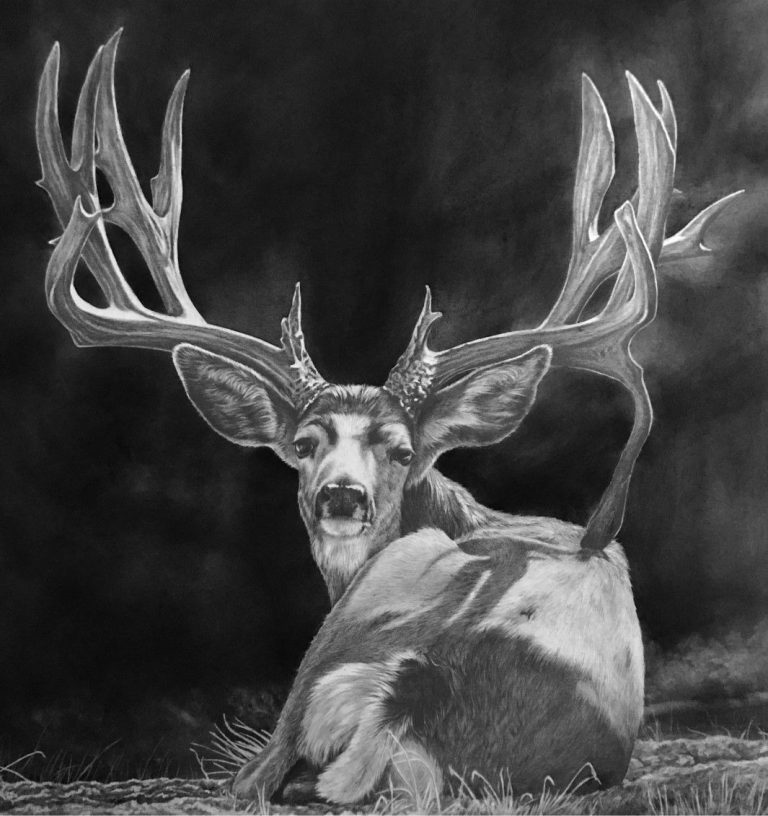 Bend Chapter – Oregon Hunters Association