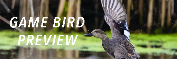 Oregon Hunters Association: OHA - Oregon Hunting