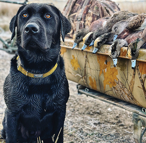 contests – Oregon Hunters Association