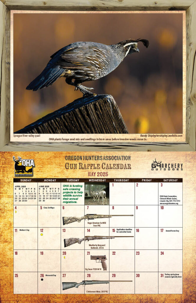 The next OHA ’25 Gun Calendar winner is…. – Oregon Hunters Association
